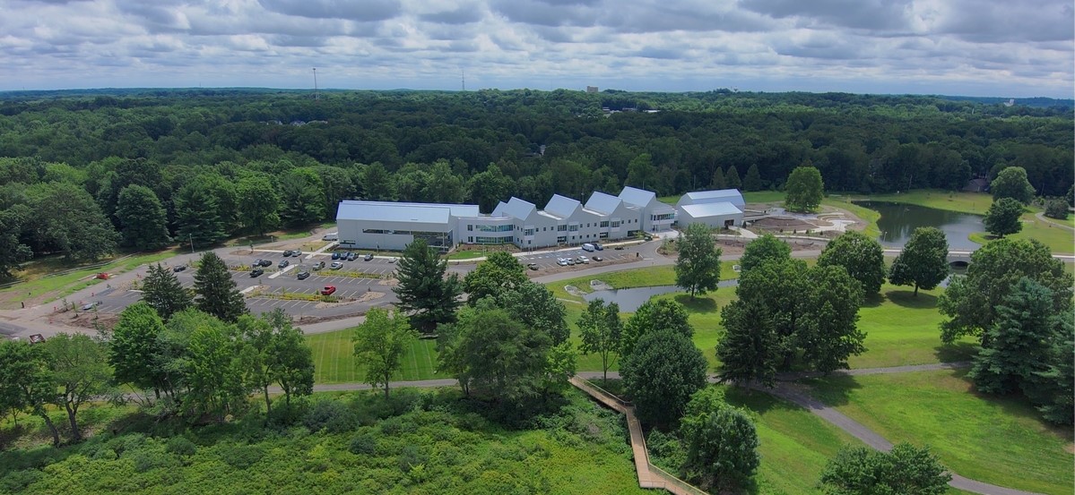 Tree Roots: Trees with Invasive & Non-Invasive Roots | Davey Tree