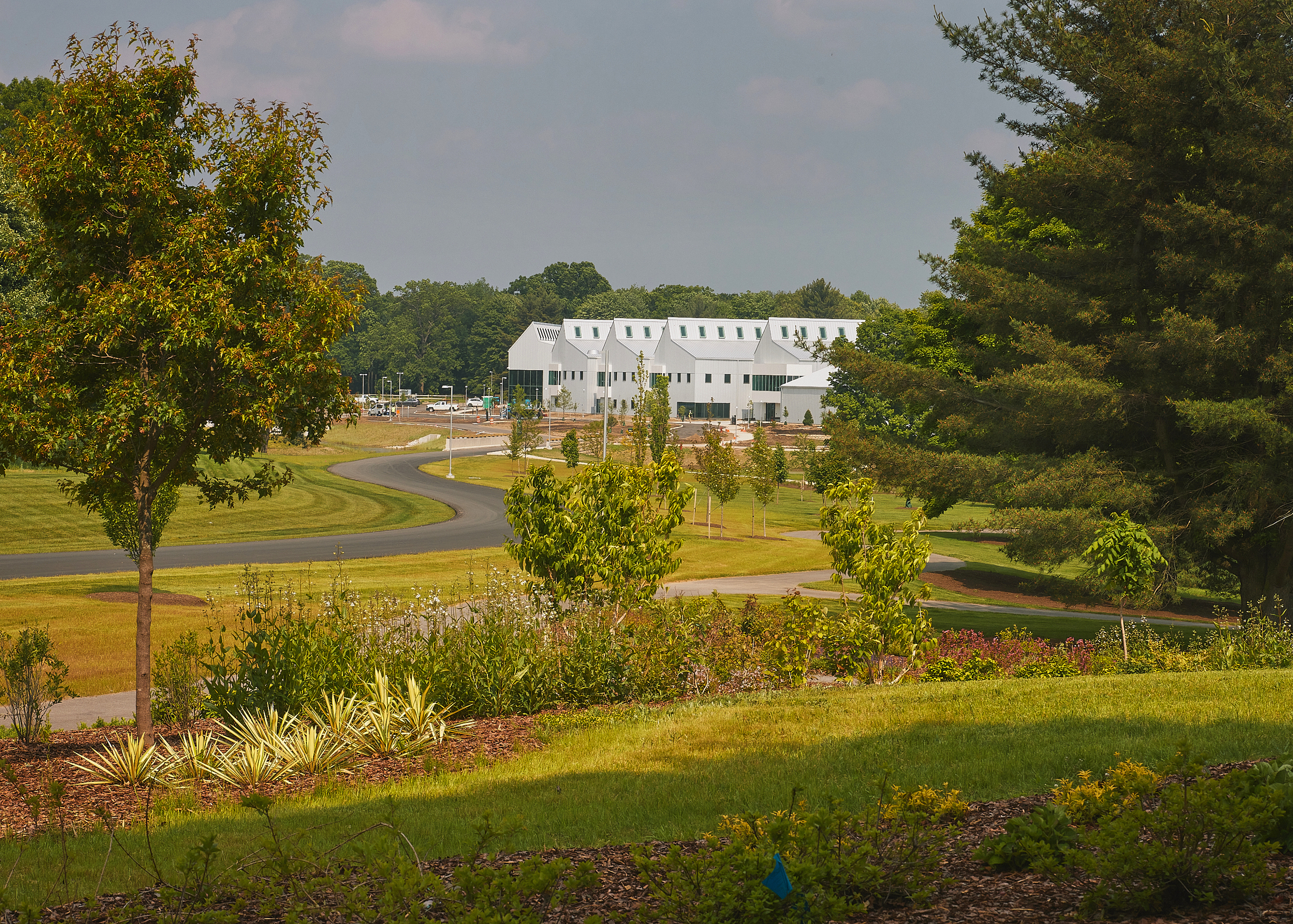 DIY Tree Watering with Homemade Tree Watering System | Davey Tree