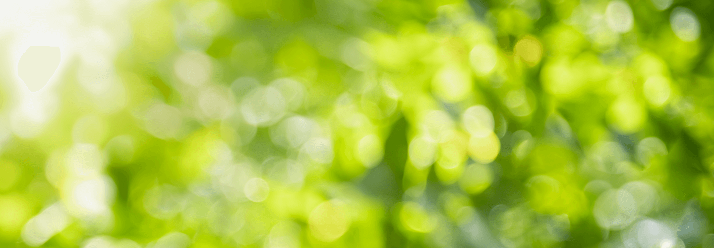 What Is Tree Topping and Why Topping Is Harmful to Trees | Davey Blog ...