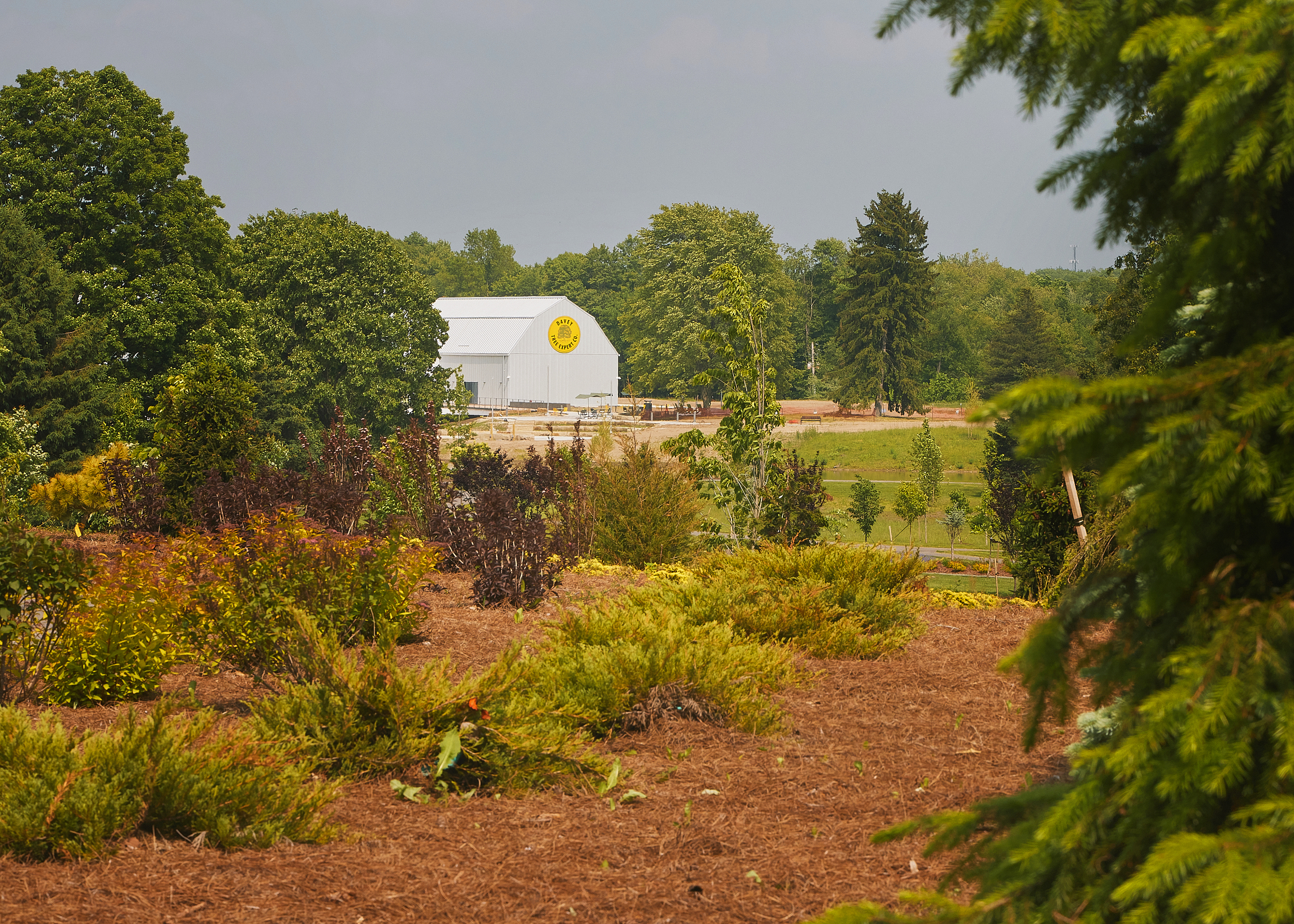 DIY Tree Watering with Homemade Tree Watering System | Davey Tree