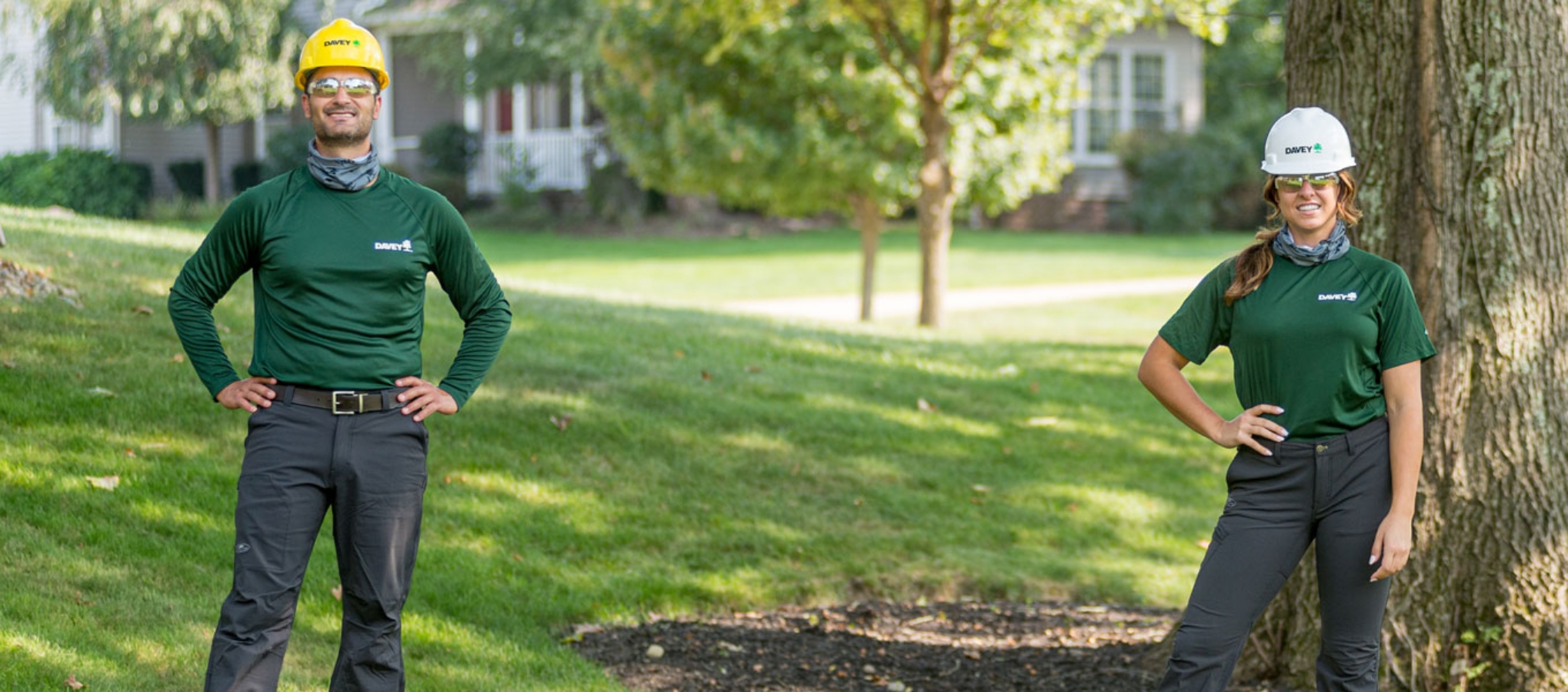 Tapping Doesn’t Damage Maple Trees (But Don't Plug Holes) | Davey Blog ...