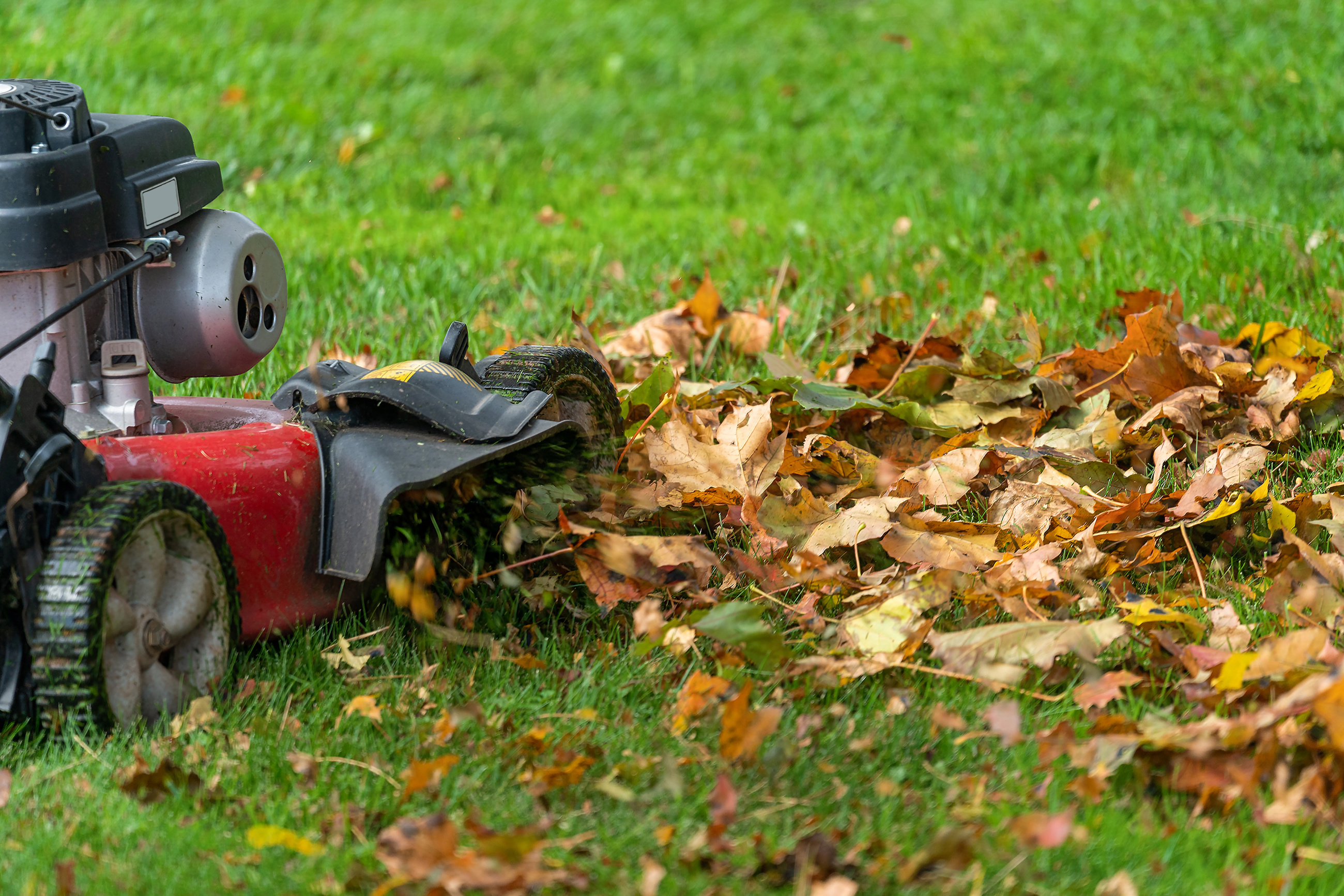 Recommended Lawn Mowing Heights By Season (Spring, Summer, Fall ...
