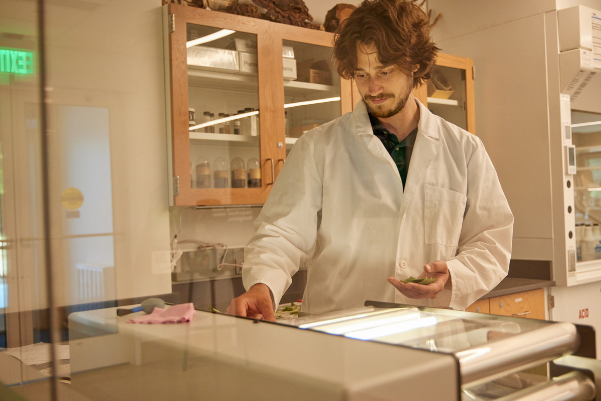 Can You Repair or Stop a Tree Trunk From Rotting at the Base? | Davey Tree