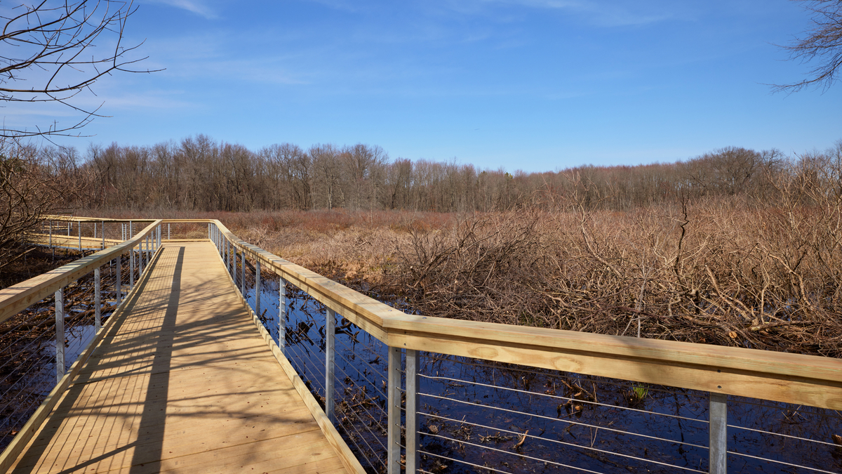 How to Get Rid of Spring Webworms or Eastern Tent Caterpillars | Davey ...